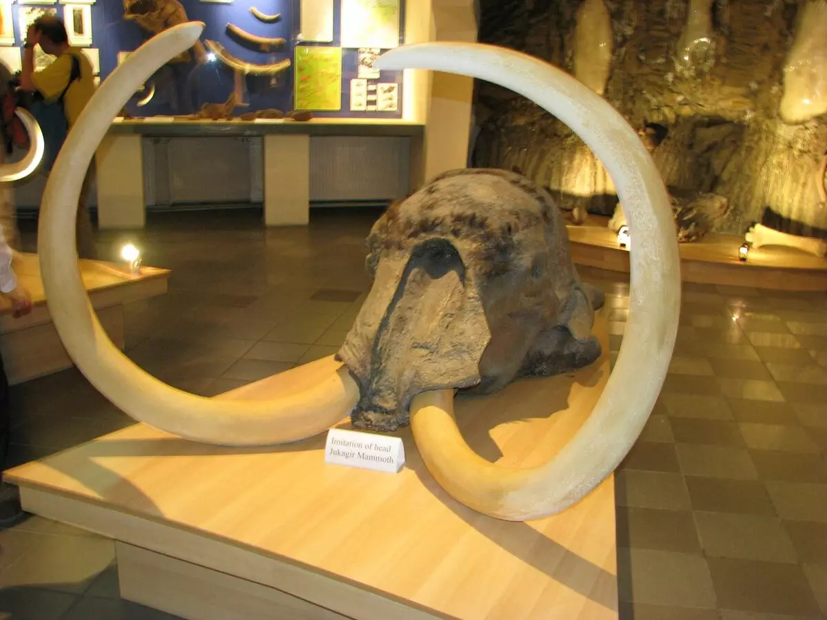 Paleontologists ichaedza kudzora mammoth kubva kuganda