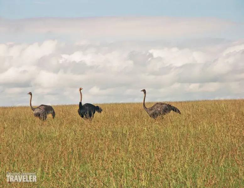 Kenia - Adam's Cradle