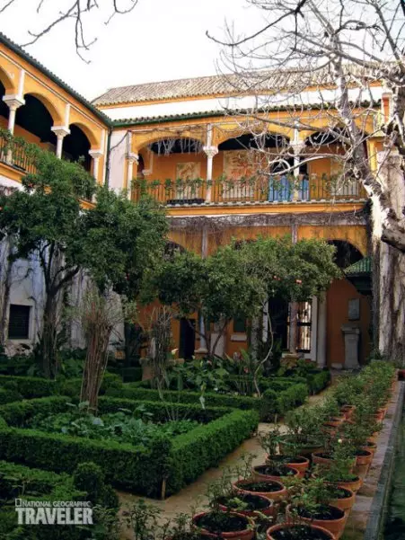 Sevilla: felicidad flamenca