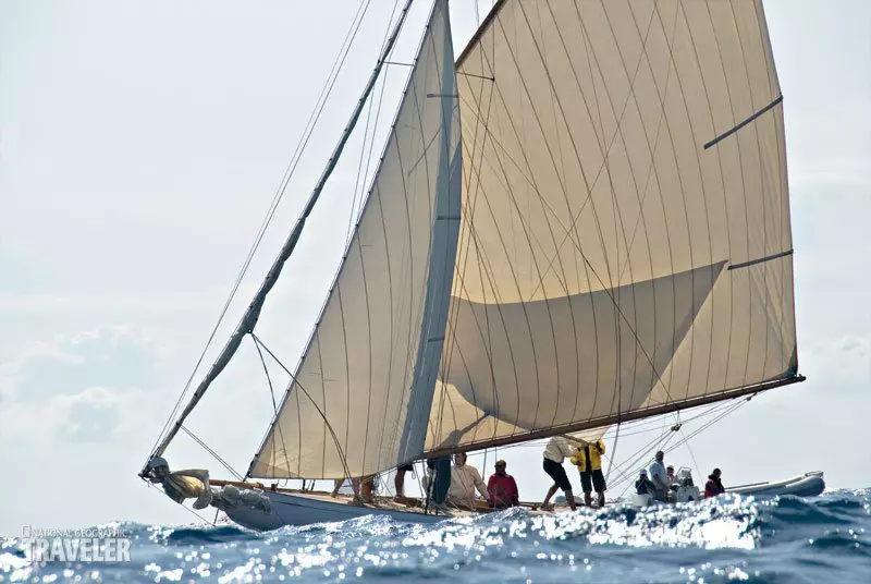 Regatta panerai.