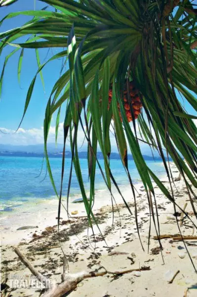 Lefatše la Mangrove