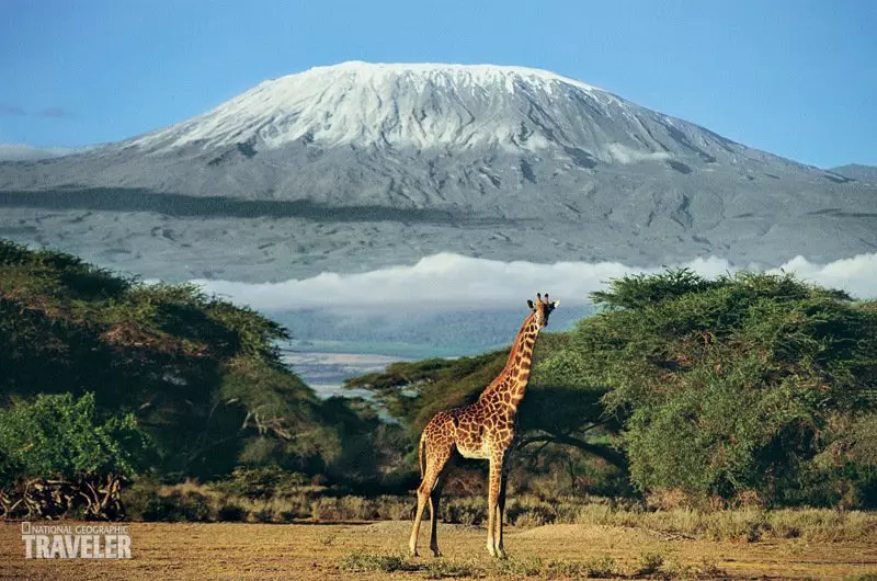 Tanzania.