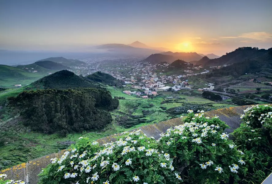 Tenerife (najava)