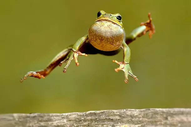 Cena "Najlepší fotograf": Poponáhľajte si, aby ste podali svoju prácu!