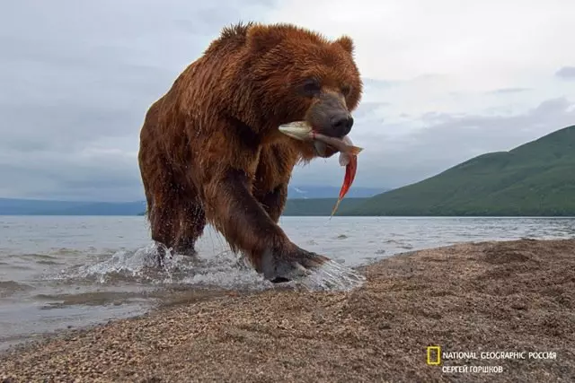 NG Russia ku chikondwerero chachilengedwe ku Lipetsk