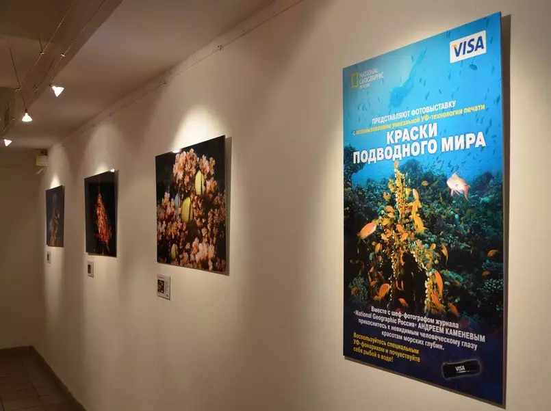 exposició fotogràfica "pintures de l'món submarí" en Iekaterinburg