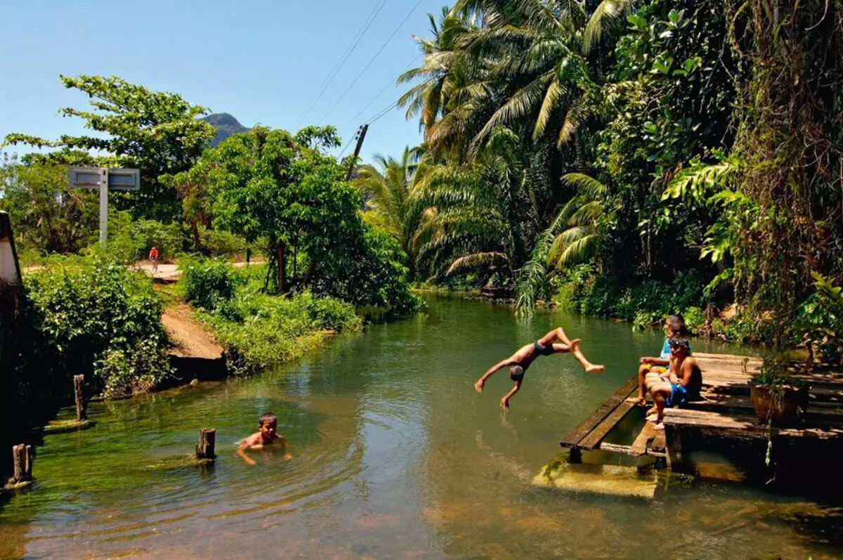 Penduduk hutan