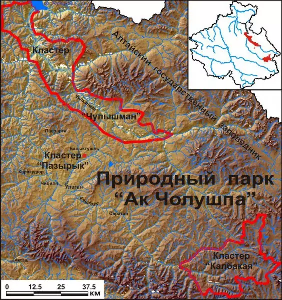 Nieuwe natuurpark in Altai begon officieel te werken