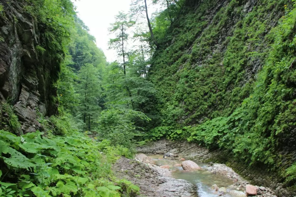 "Reiseführer": Natürlicher Wasserpark