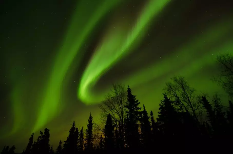 Det nuværende efterår er rig på nordlyset