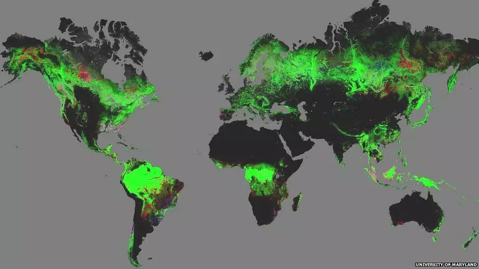 Forest Arrays fan it lân wurde tapast op in ynteraktive kaart