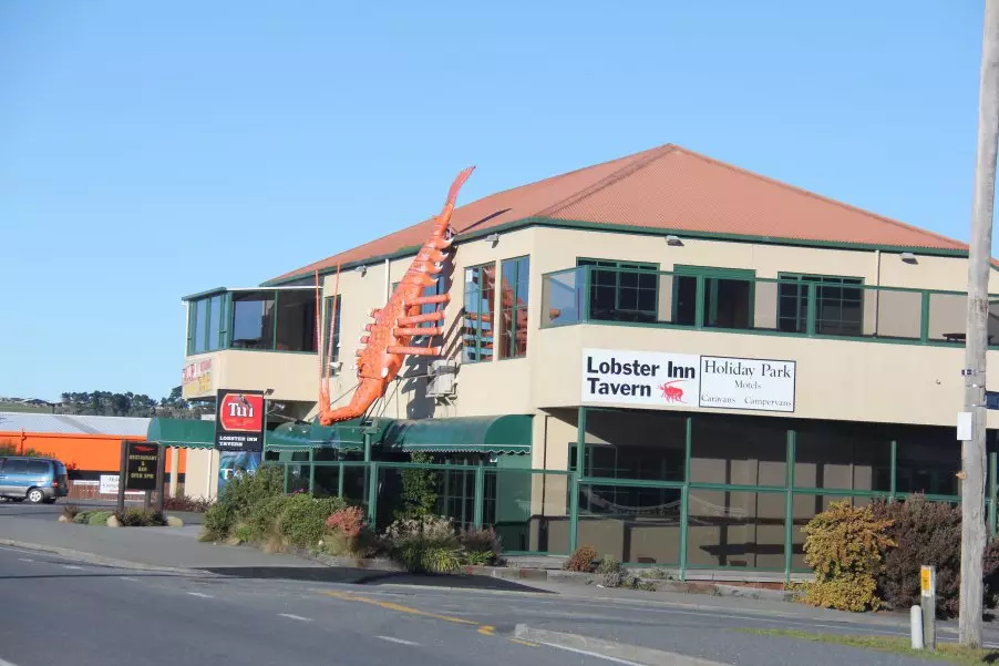 New Zealand: Whale Watching