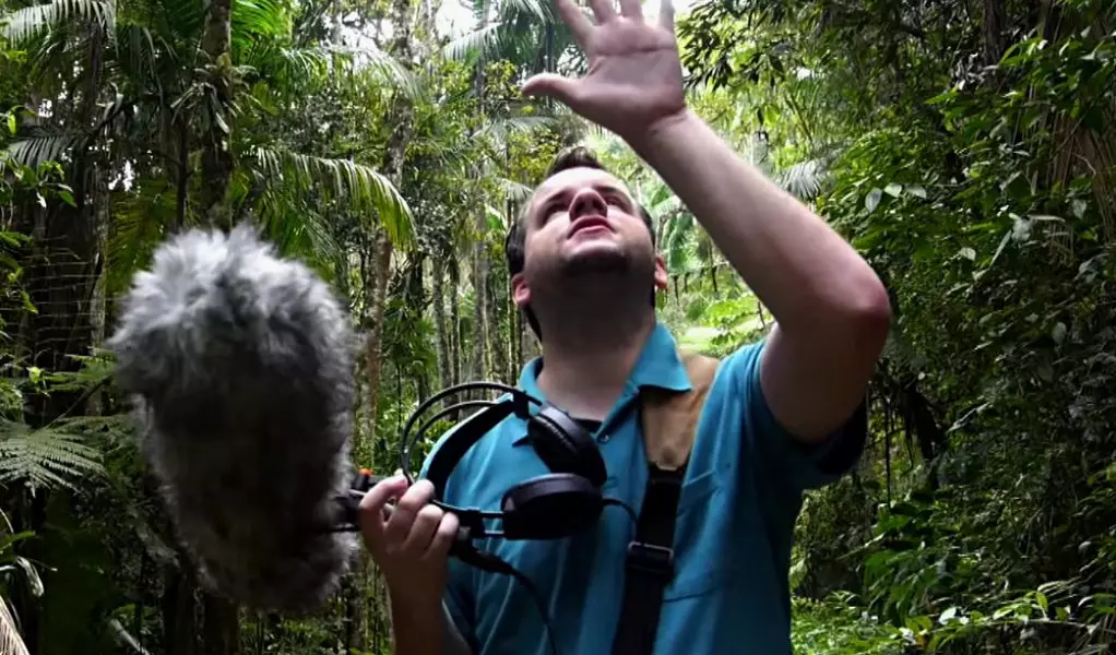 "Teach to see sounds." Why does the blind ornithologist write the singing of birds?