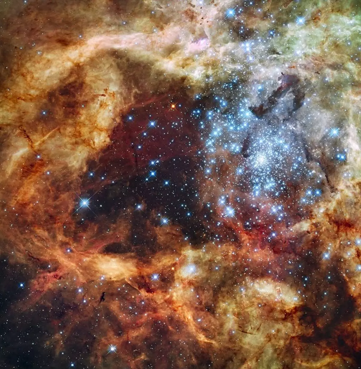 Kintana monsters hita ao amin'ny Tarantula Nebula