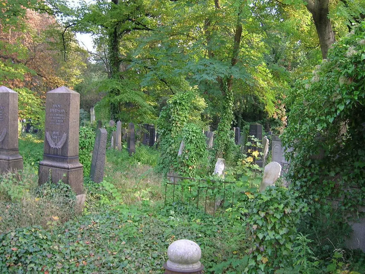 Reservierte Zone. Der Friedhof in Berlin erwies sich als voller Leben