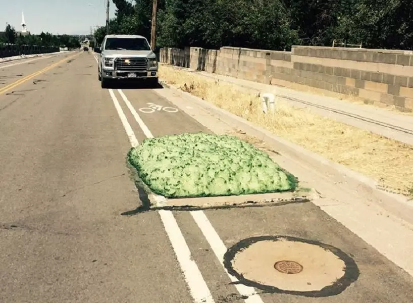 Green Foam Mystery: Hva kom ut av kloakk i Utah?