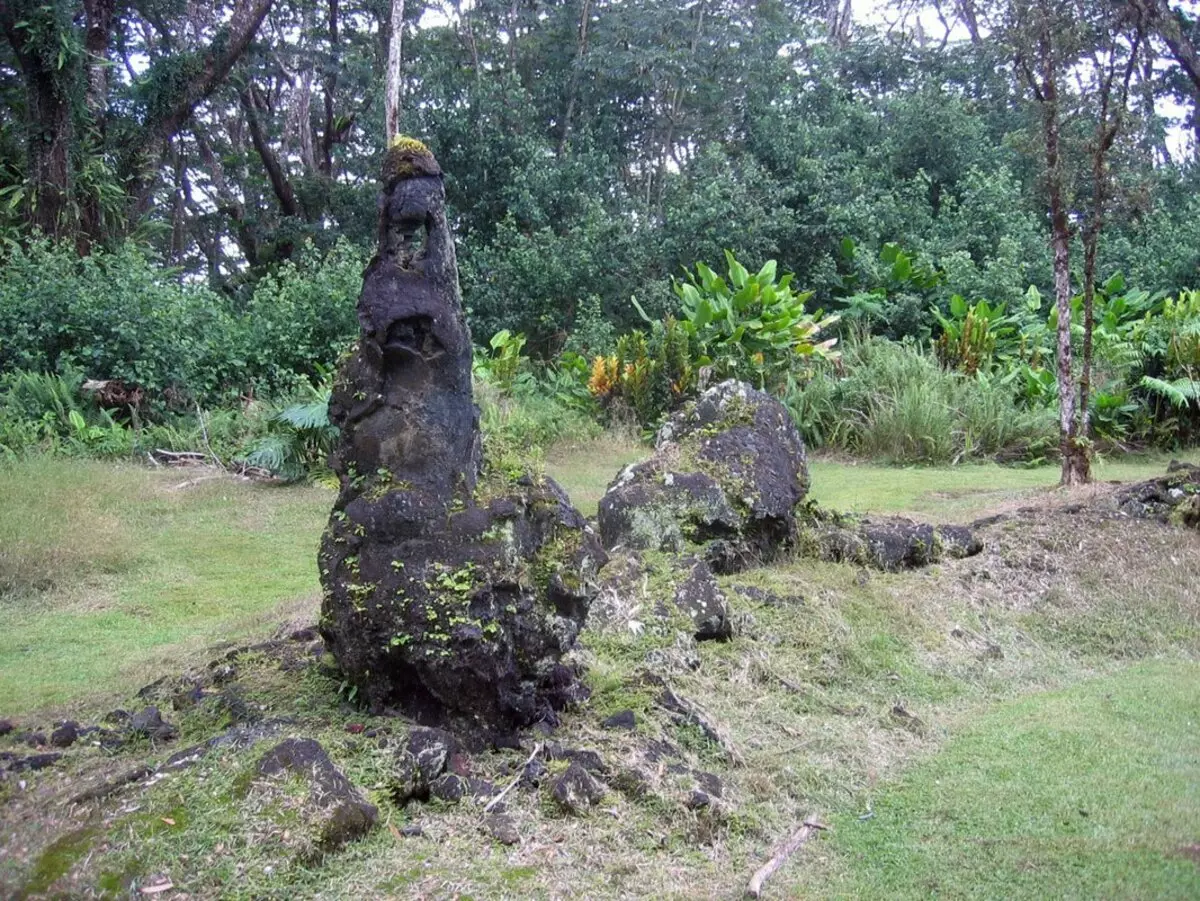 Wat gebeurt er wanneer bomen met lava staan