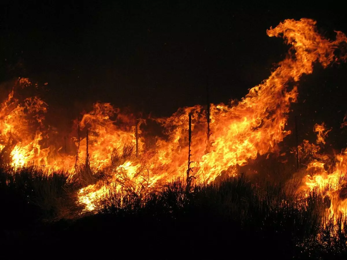 火のポルトガル：写真とビデオ