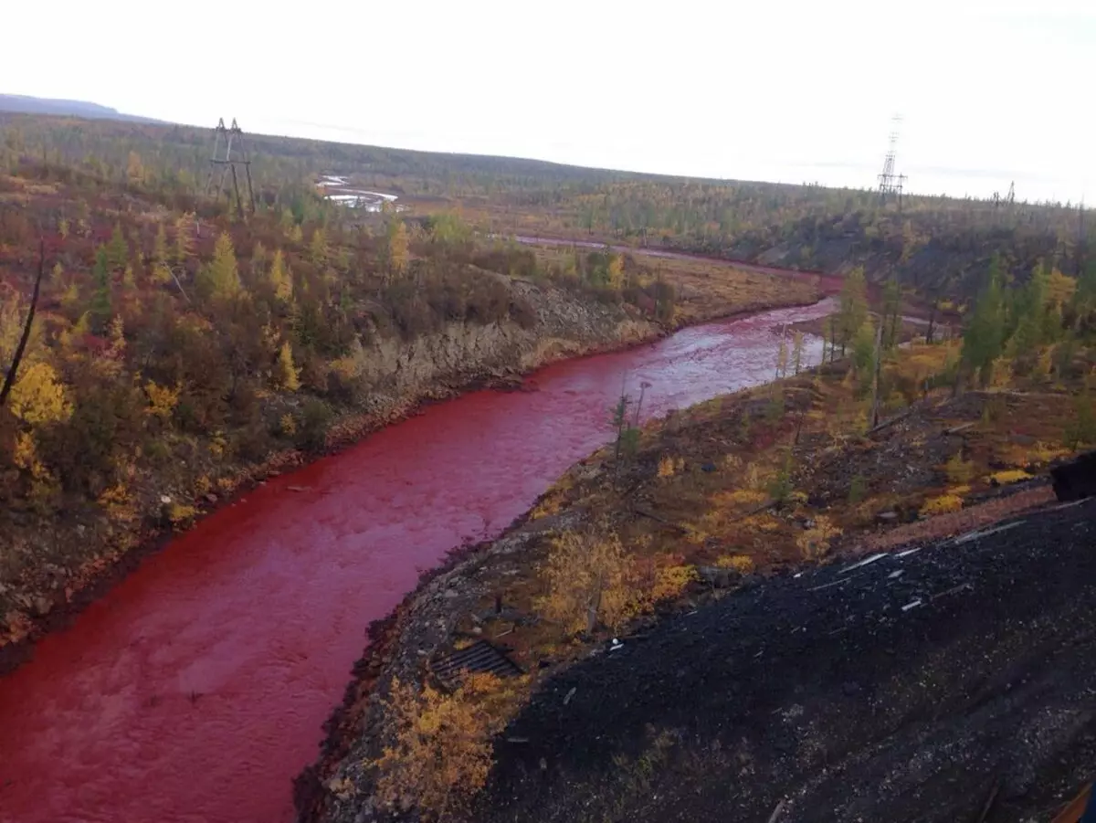 Wêrom waard de rivier yn Norilsk read wurden