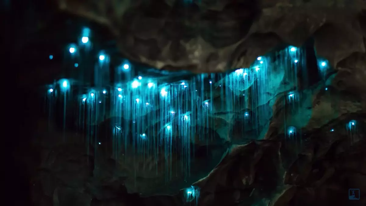 „Sternenhimmel“ in Neuseeland Caves: Video