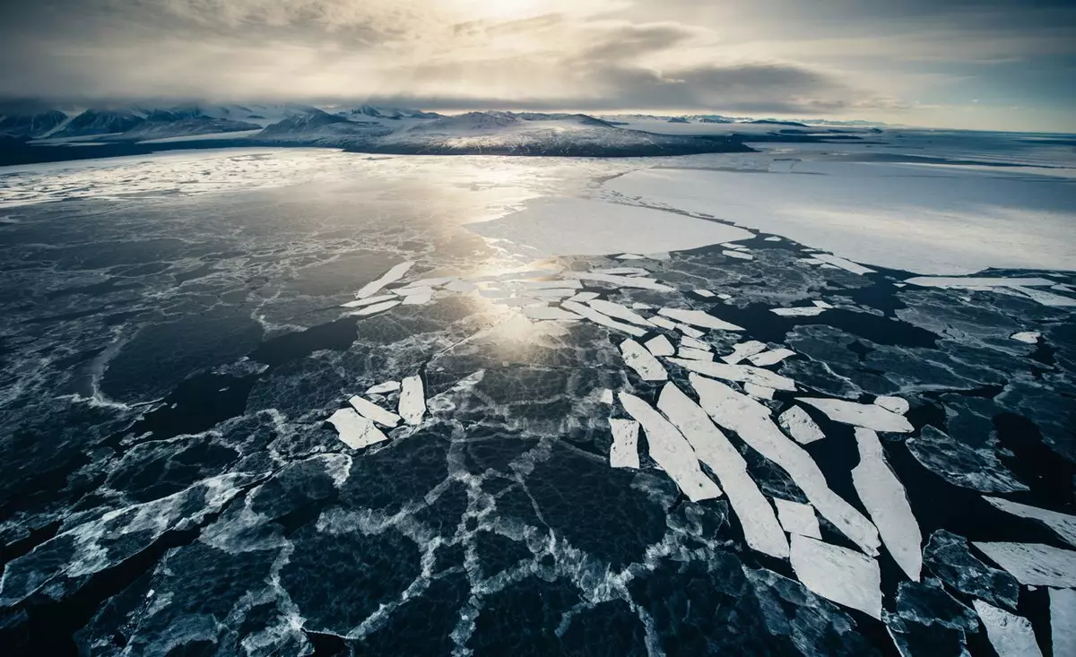 Antarctic yoo ni ifipamọ omiran omiran