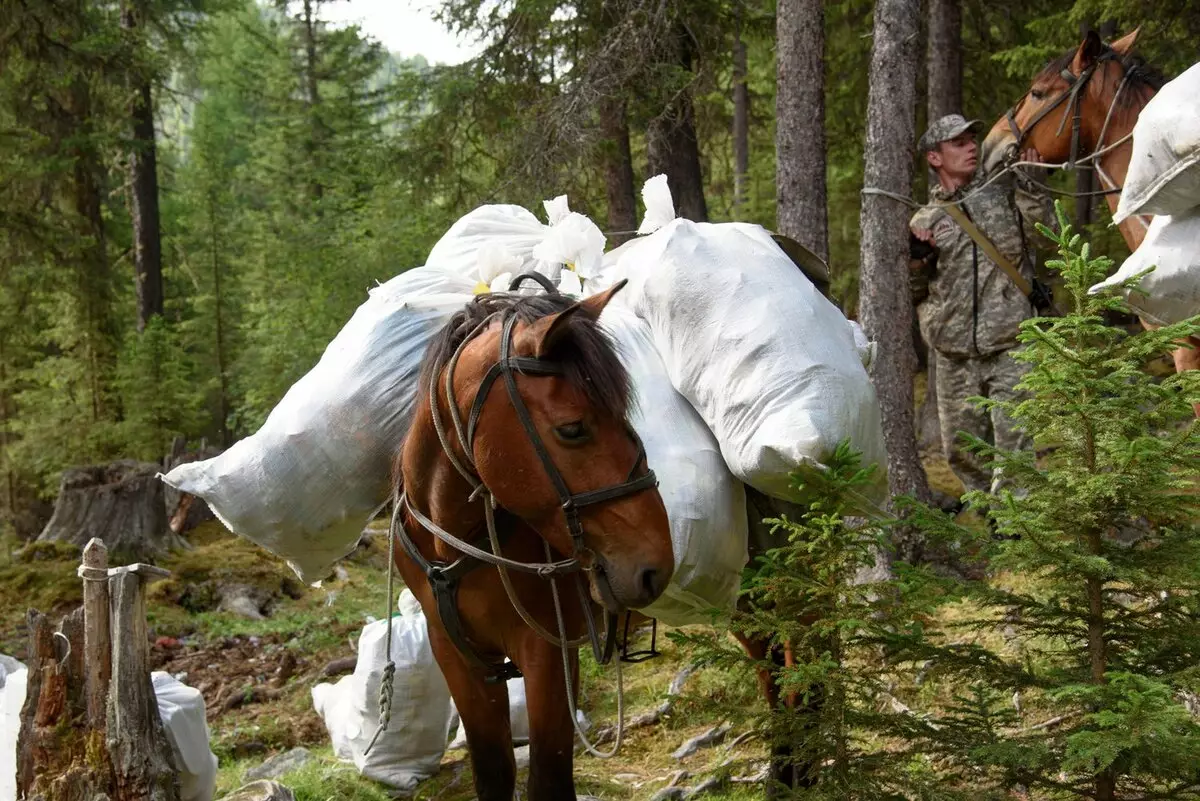Frijwilligers sammele 50 garbage bags by de boarne Arzhan Ura 14404_3
