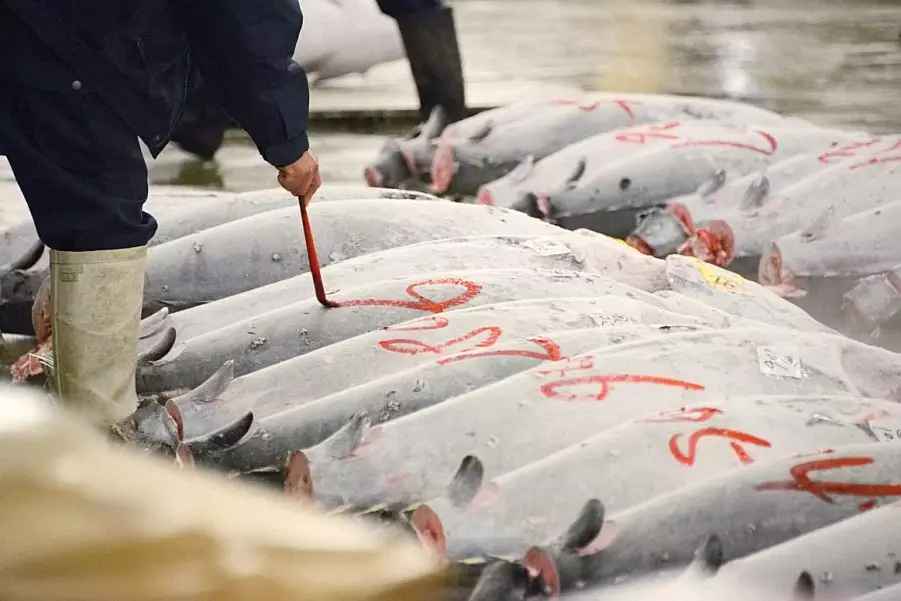 Die wêreld se oudste vismark in Tsukidi sal na 'n ander plek beweeg