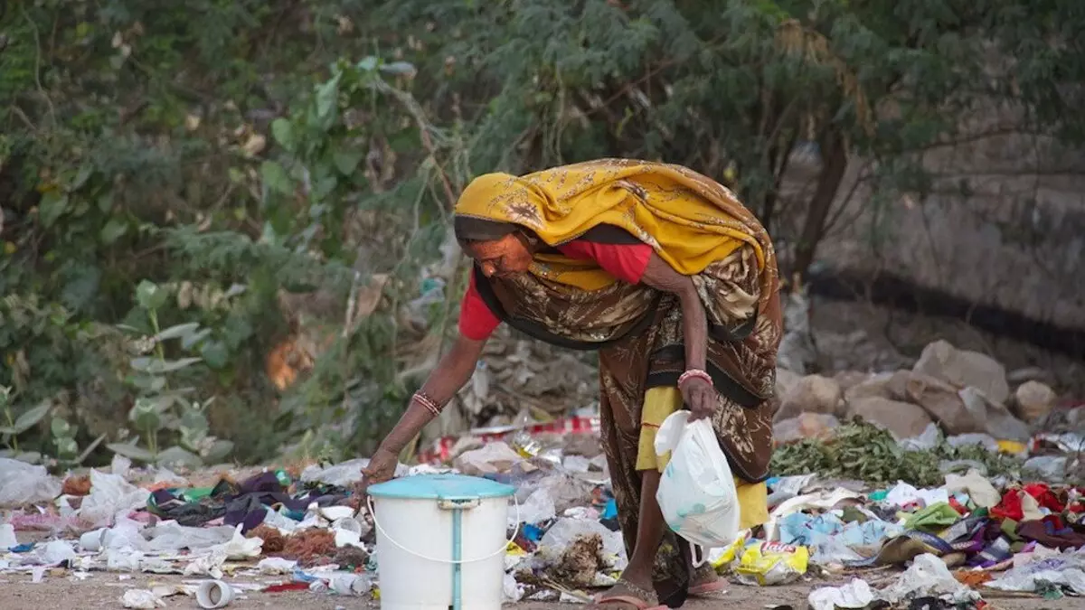 भारत में, बिजली में कचरा प्रसंस्करण के लिए पौधे बनाए जाएंगे: पेशेवरों और विपक्ष