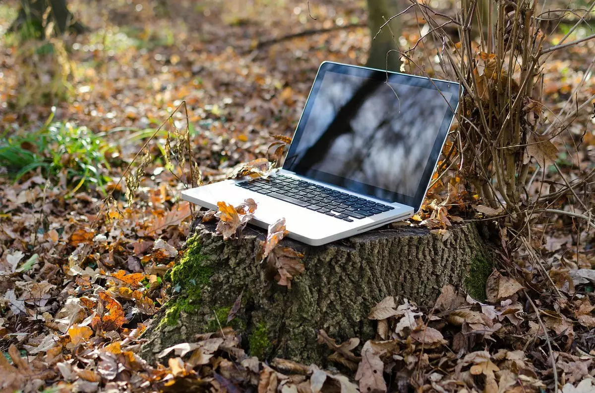 Odstraňte toalety a péči o zvířata: bezplatné Wi-Fi poplatek