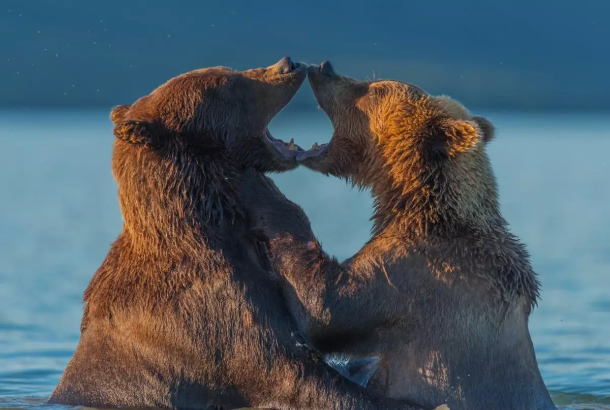 In the Moscow Zoo will marry people