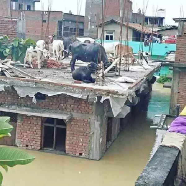 Flooding in Nepal cut off tourists from the outside world