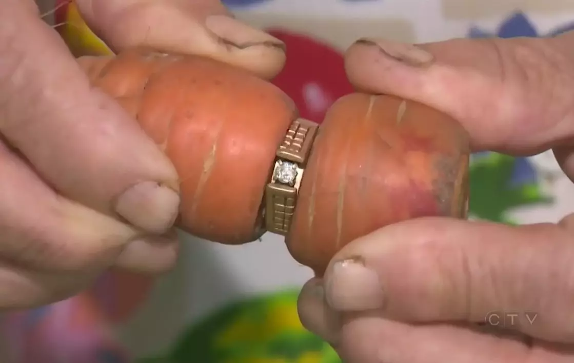 As a lost diamond ring found on carrots (13 years later!)