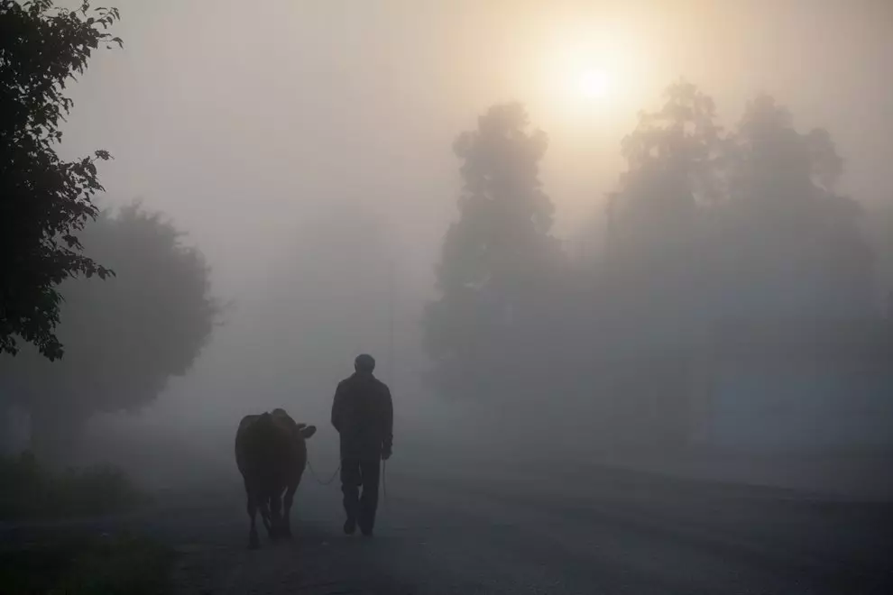 روس جا سڀ کان وڌيڪ "مرد" علائقا: تحقيق