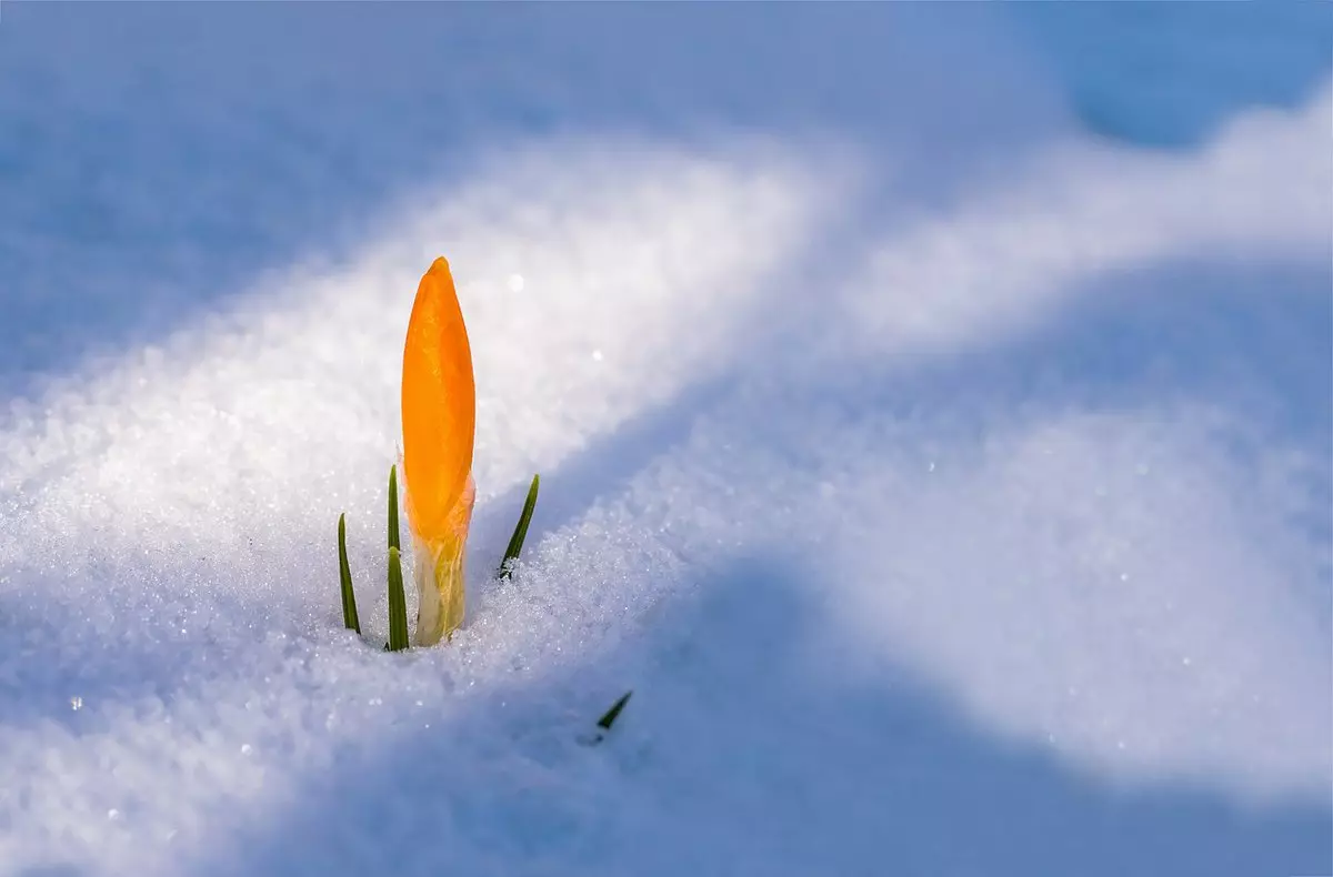 Contrastes de temperatura de Rusia: como enfróntase ao inverno a primavera