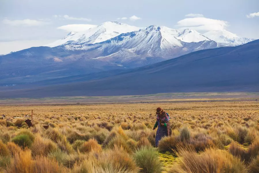 Pelahap hati dari Bolivia