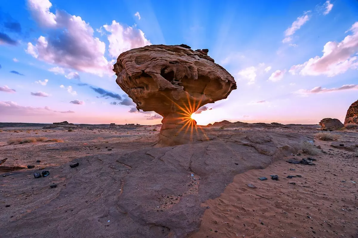 Vetur á Tantor: Grand Festival í Saudi Arabíu