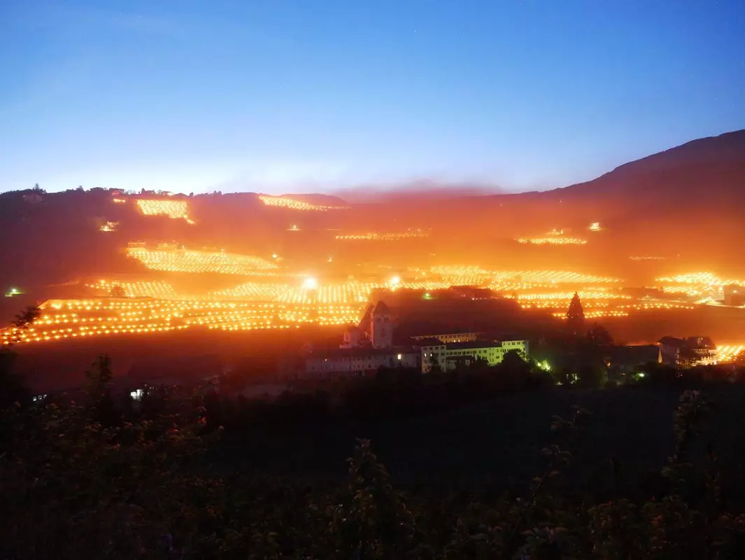 Comment protéger les vignes contre les gelées? Bienvenue 300 torches!