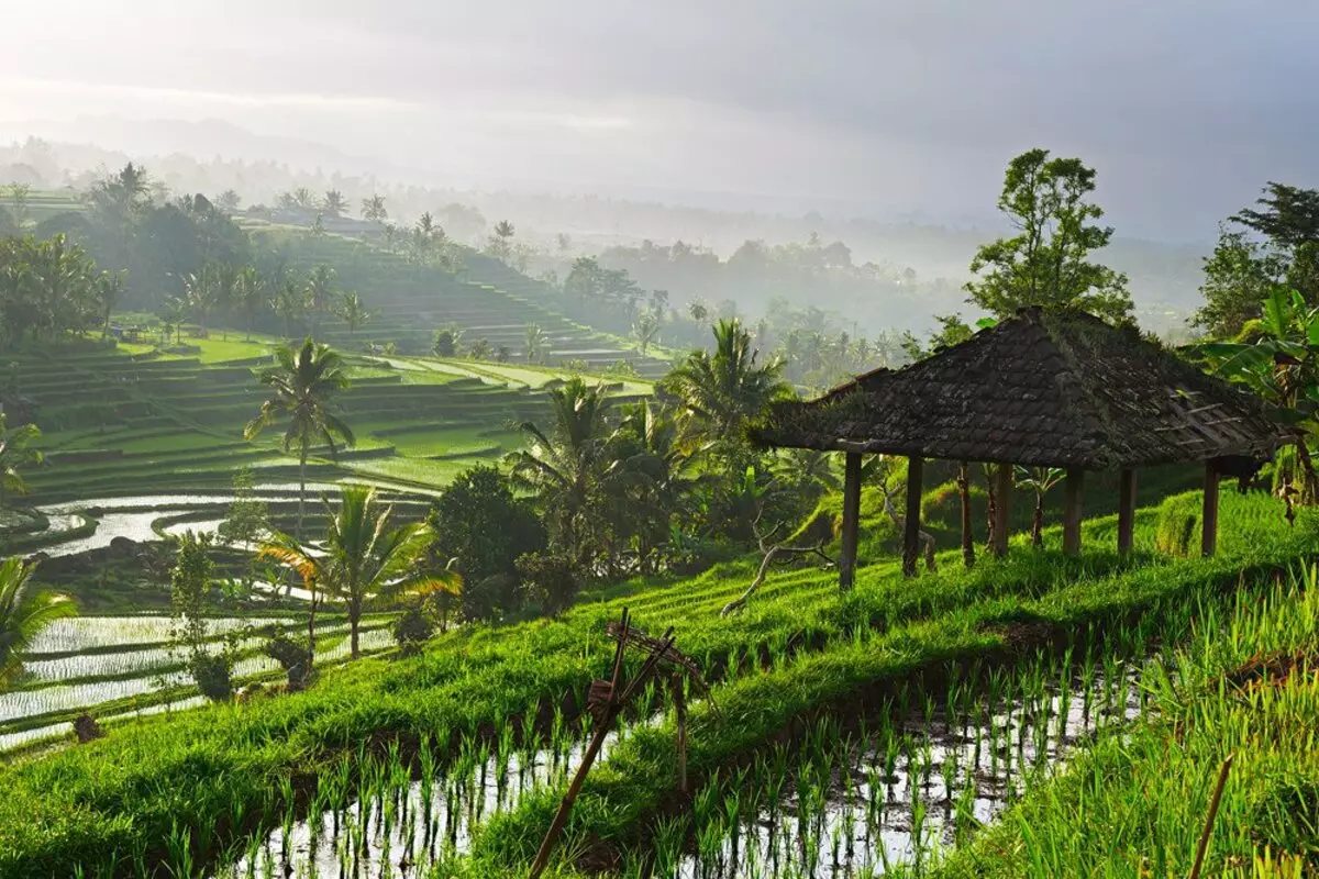 Legez kanpoko Errusiako gidak - Bali agintarien helburu berri bat