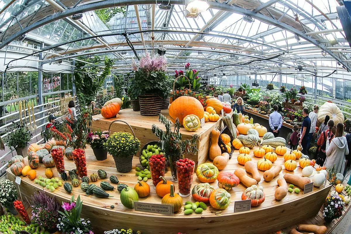 "Färger av höst" öppnas i den botaniska trädgården i Moskva State University september 7