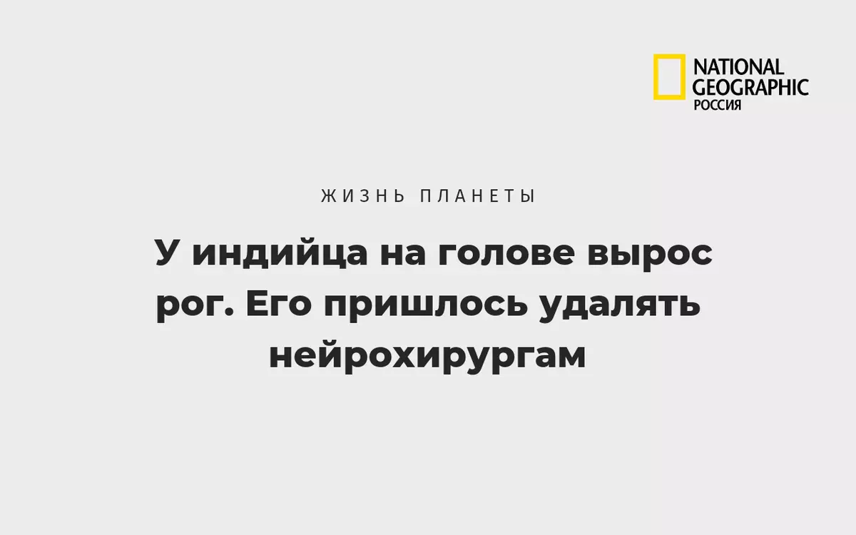 Ҳиндустон шохро ба сари худ хатм кардааст. Вай маҷбур шуд Нейросурҳоро нест кард