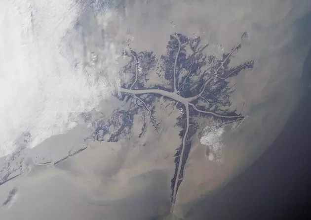Гирло річки Міссісісіпі, МКС-50.jpg