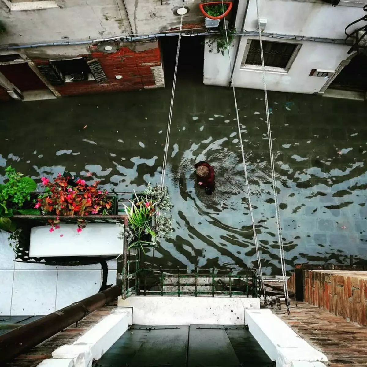 Record Flood in Venetië: foto en video