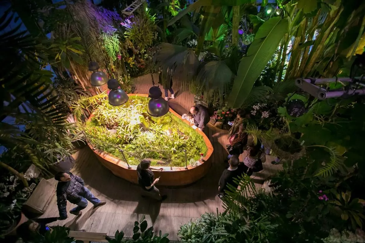 Seolann Gairdín Botanical Ollscoil Stáit Moscó quests saor in aisce agus ranganna idirghníomhacha