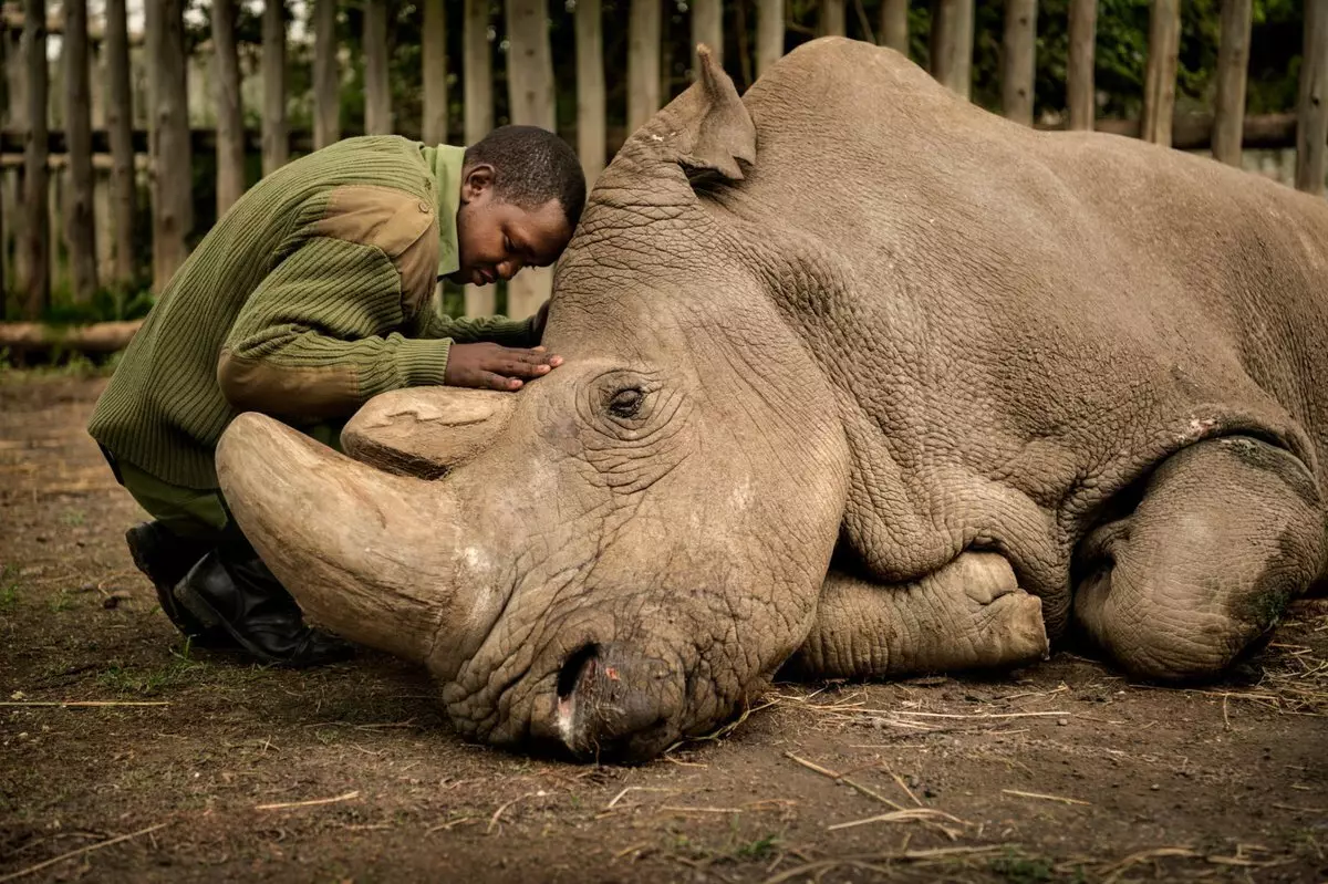 Zojambula zapamwamba kwambiri 5 zabwino zazaka khumi kuchokera ku National Geographic