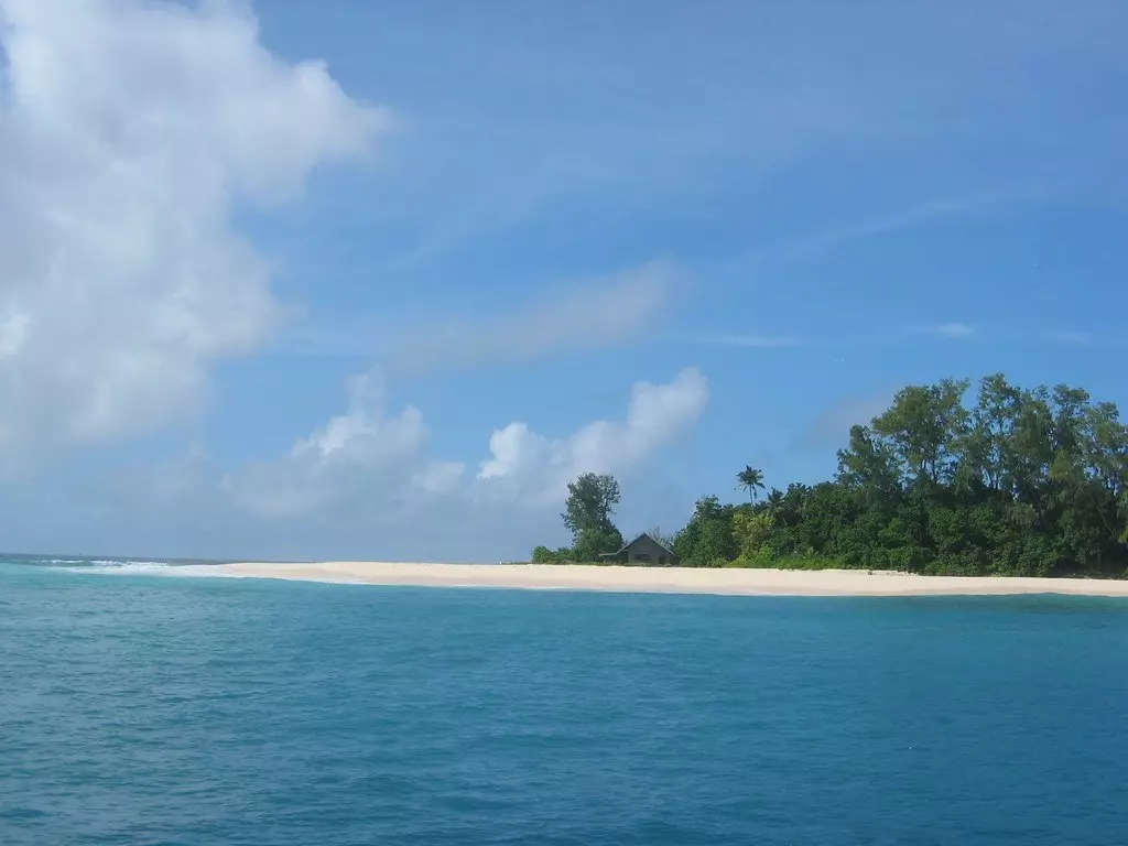 Zakoupený na záchranu zpěváků Bird Island Zaplavené turisty