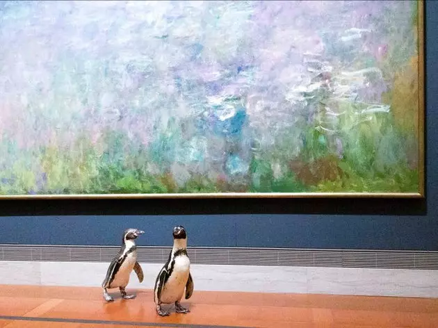 कला penguins2.jpg।