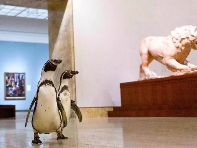 Art Penguins6.jpg.