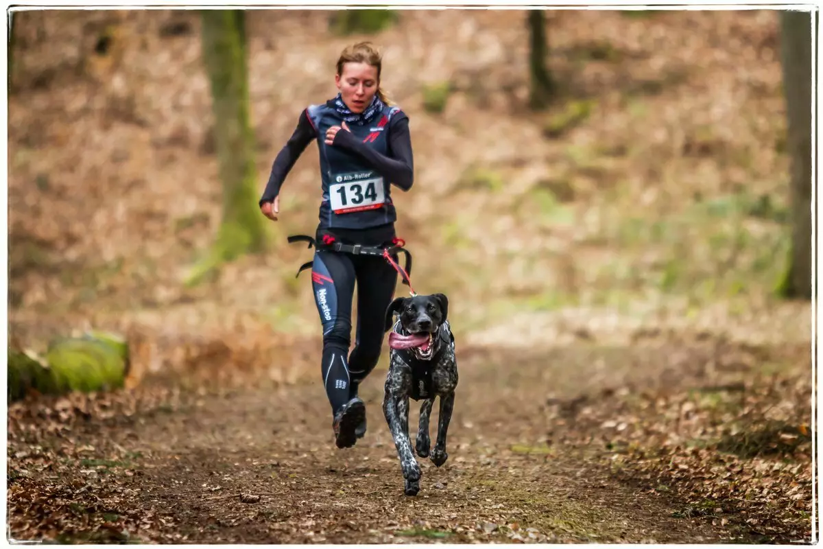 Course charitable avec chiens: que faire le week-end à Moscou