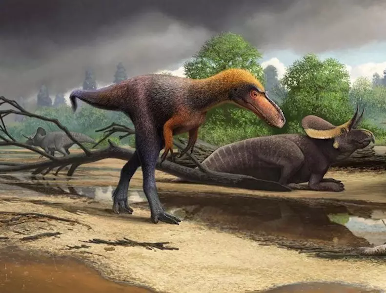 Dinosauros de Tamaño Coyote: Coñeza un novo aspecto