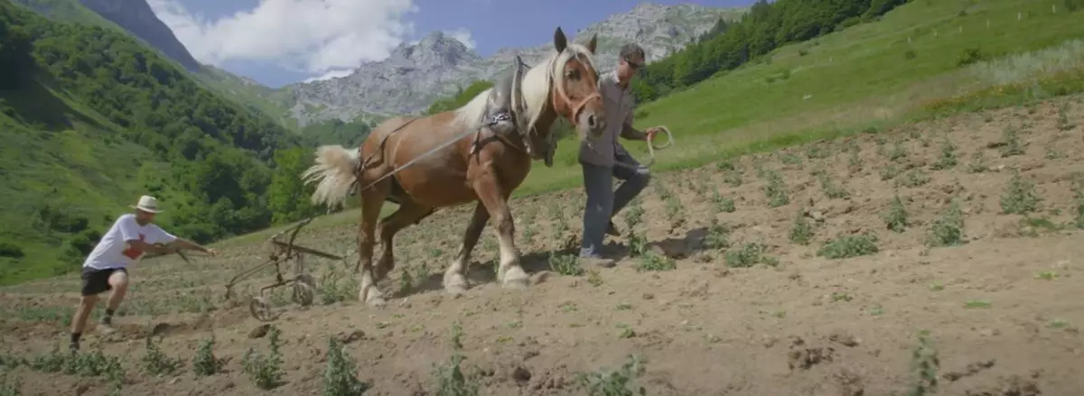 3 Clarins inicijative koje mogu biti primjer za mnoge